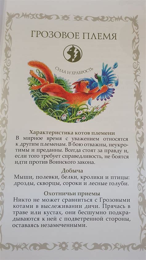 Коты воители грозовое племя Кошки воины Кот воитель Кот