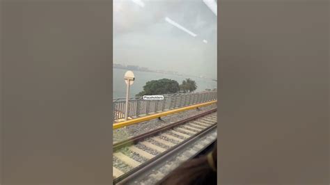 Placeholders Youtube