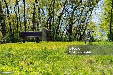 복사 공간 이미지 공원 벤치 옆 자전거 야외 활동 테마 건강한 라이프 스타일 두발자전거에 대한 스톡 사진 및 기타 이미지 두발자전거 배경 주제 자연 Istock
