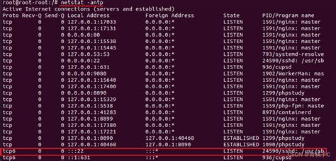 Linux下查看网络连接、进程、服务linux查看网络连接 Csdn博客
