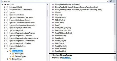The Assembly Namespace Type Distinction ~ C Programming