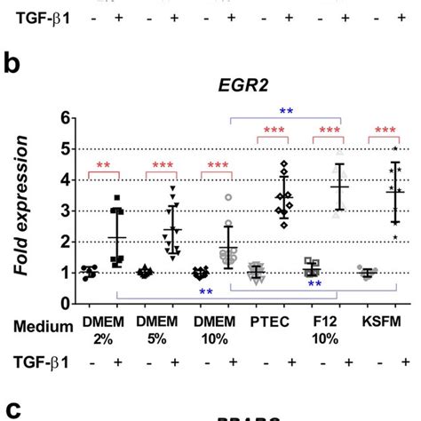 Gene Expression Pattern Of Transcription Factors Upon Culture Medium