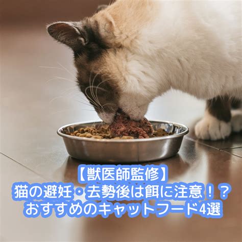 ネコちゃんグッズ紹介｜猫の総合情報サイト ペットスマイルニュースforネコちゃん