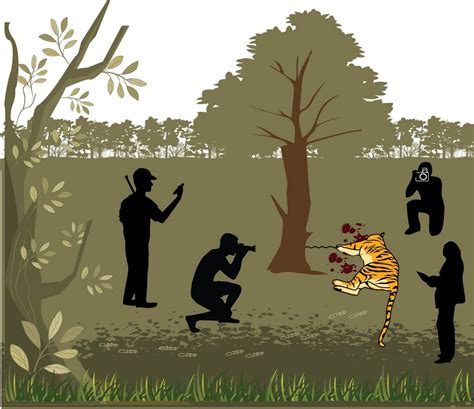 Law Enforcement Wildlife Conservation Trust