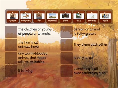 Unit 2 Week 4 Match Up