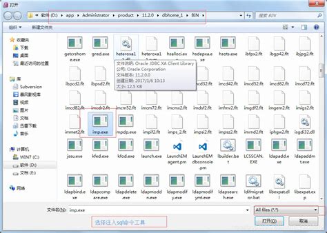 数据库备份（1）之oracle数据库备份plsql备份数据库 Dmp Csdn博客
