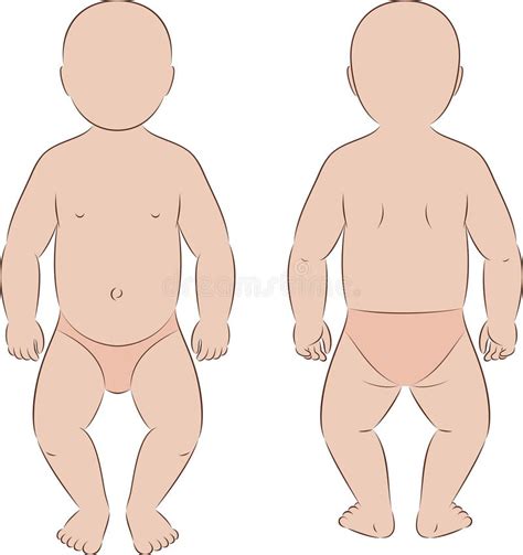 Figura Do Bebê Frente E Trás Silhueta De Corpo Recém nascido