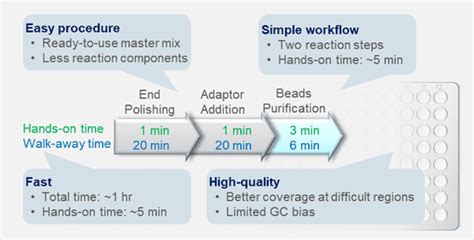 PCR Free NGS DNA Library Prep Kit Low Bias High Yield