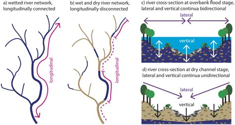 River Ecosystem Conceptual Models And Non Perennial Rivers A Critical