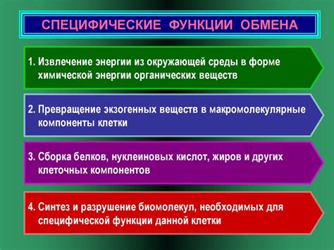 Обмен веществ и энергии презентация онлайн