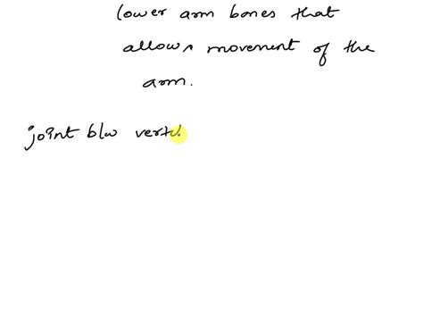 Solved The Articulation Between The Temporomandibular Joint And The Mandible Forms The
