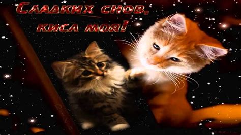 😃 Пожелания спокойной ночи любимой девушке своими словами