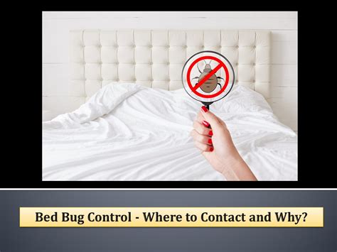 PPT Bed Bug Control Where To Contact And Why PowerPoint