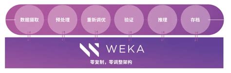 Ai 原生数据平台——weka，如何推动下一代工作负载 瑞技科技