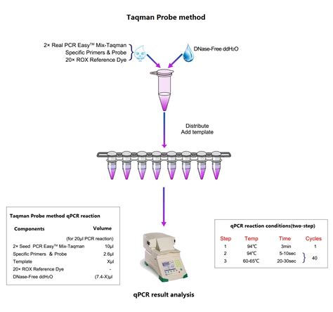 Real Time Pcr Easytm Taqman Kit Premix System Specific Fluorescent Probes For Real Time Pcr