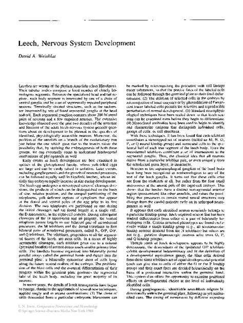 Pdf Leech Nervous System Development