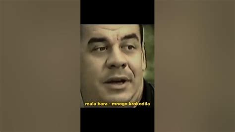 Bata Trlaja Kralj Navijača Pogled Unazad U 80 E Mala Bara Mnogo Krokodila Batatrlaja