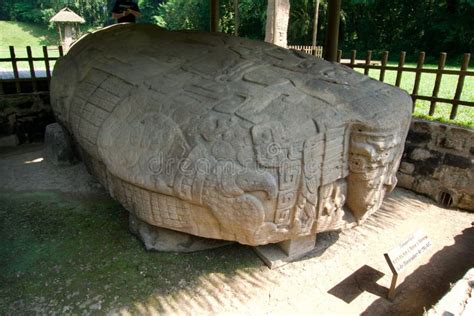 Quirigua Mayan Ruins Izabal Stock Photo Image Of History Sculpture