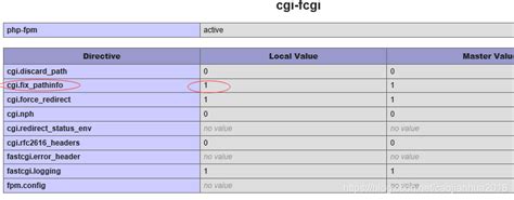 Apache2开启pathinfo的解决方案apache Pathinfo Csdn博客