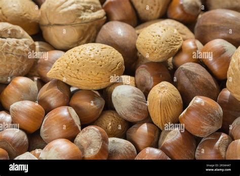 Assorted Mix Of Different Nuts In Shells Stock Photo Alamy