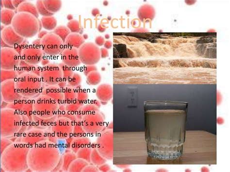Diseases Caused By Protista Ppt
