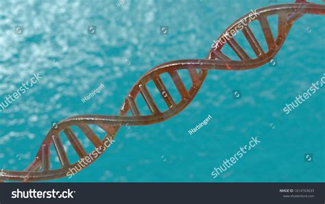 3d Illustration Structural Model Dna Double 스톡 일러스트 1614163633 Shutterstock