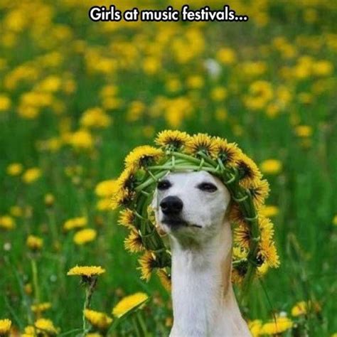 Spring Flower Memes Stop And Smell The Flowers They Said Imgflip