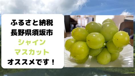 【口コミ】2022ふるさと納税 長野県須坂市シャインマスカット ！ ちゃんしいブログ