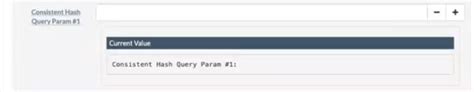 Ds Requests Show Non Existent Current Consistent Hash Query Parameter