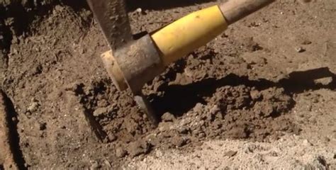 How To Amend Clay Soil The Homesteader S Guide