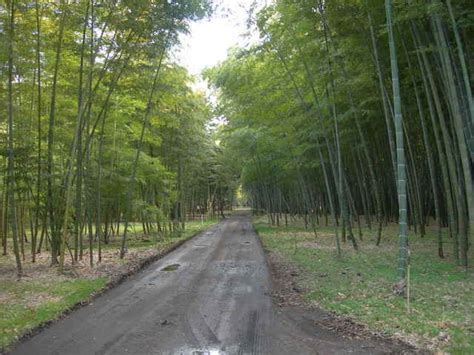 若山農場ロケナビ検索栃木県フィルムコミッション