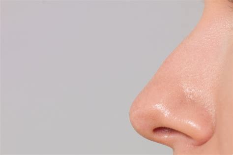 Rhinoplasty Surgery How Much Does A Nose Job Cost