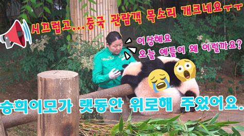 세상에💥 루이바오 와 후이바오 는 겁에 질리고 충격을 받아 서로를 껴안고 팬들에게 등을 돌렸어요💦승희이모가 나와서 오랫동안 위로해 주었어요 Youtube