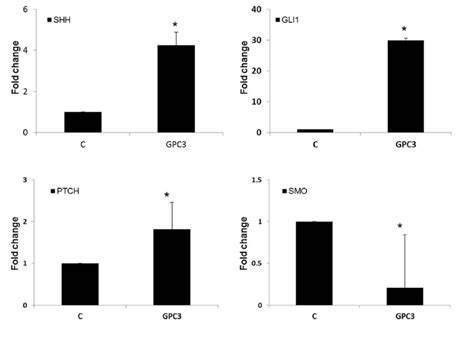 Gpc3 Promotes Hepg2 Cells Proliferation Through The Hedgehog Pathway Download Scientific