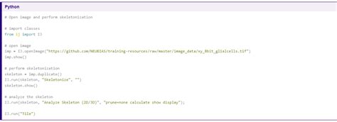 Syntax Highlighting Issue NEUBIAS Training Resources GitHub