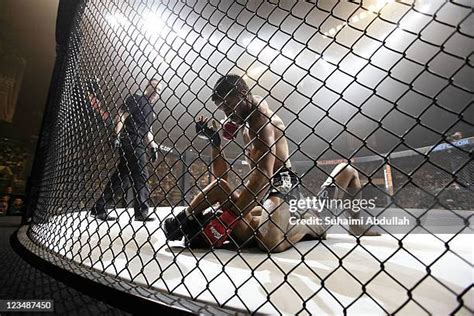 Gregor Gracie Photos And Premium High Res Pictures Getty Images