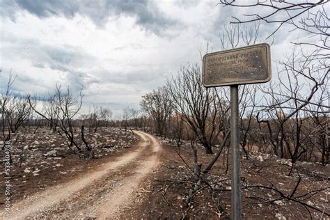 Devastating Scenes After Big Summer Wildfires In Karst Region In