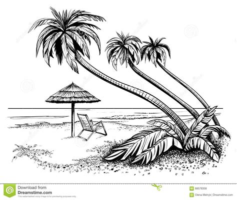 Ocean Or Sea Beach With Palms Sketch Black And White Vector