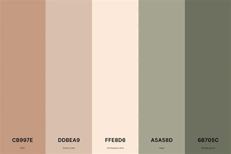 25 Best Sage Green Color Palettes With Names And Hex Codes Green