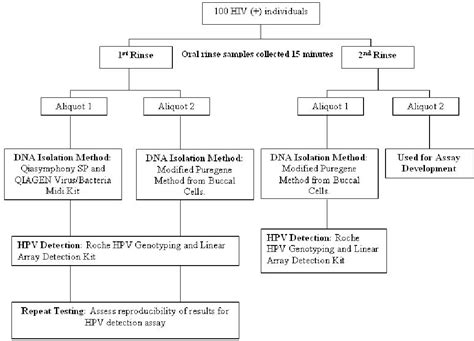 Figure 1 From Automated High Throughput Dna Isolation For Detection Of