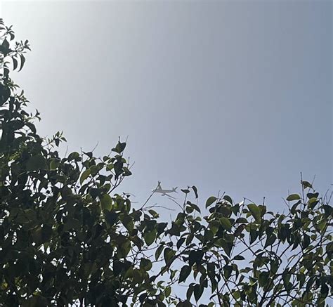 世俱杯：切尔西对阵洛杉矶fc，切尔西冲第二冠，吉鲁洛里最后一舞 比赛 进攻 中场