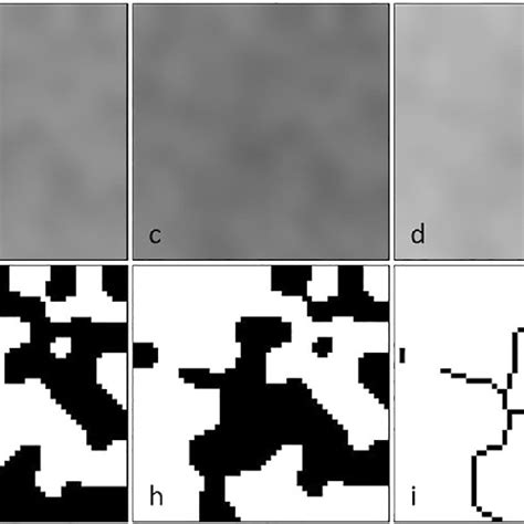 Stages Of Fractal Analysis Duplicated Image After Cropping A