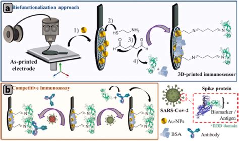 Fabrication Of Electrochemical Immunosensors At Tracy Sudie Blog