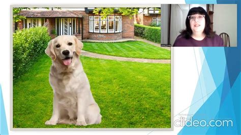 Заняття з ознайомлення з природою та соціумом Тема Собака домашній улюбленець Вік 4 6 років