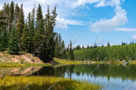 Summer On Western Colorados Grand Mesa 이미지 1495141789 게티이미지뱅크