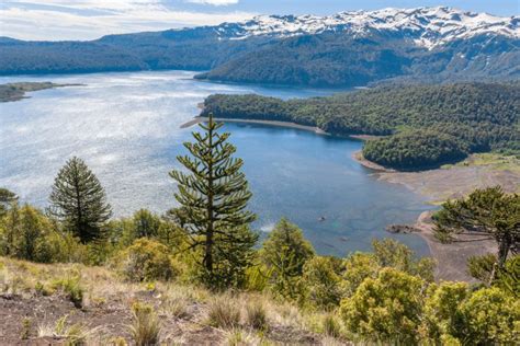 Conguillio National Park Official Ganp Page