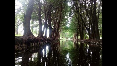 Puentes De Coloresokon Ftlsdyancocuz Crangel Crbeats Frank Coka Youtube