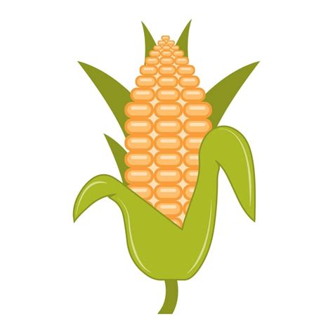 Premium Vector Corn Vector Illustration