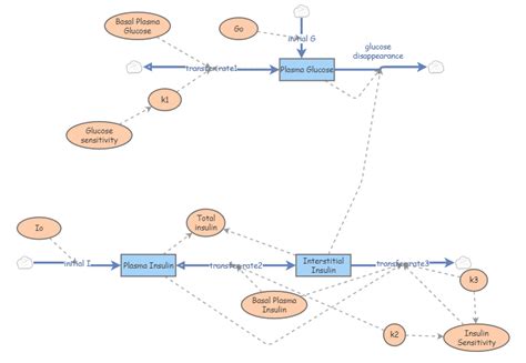 Glucose Minimal Model Cambio 1 Insight Maker