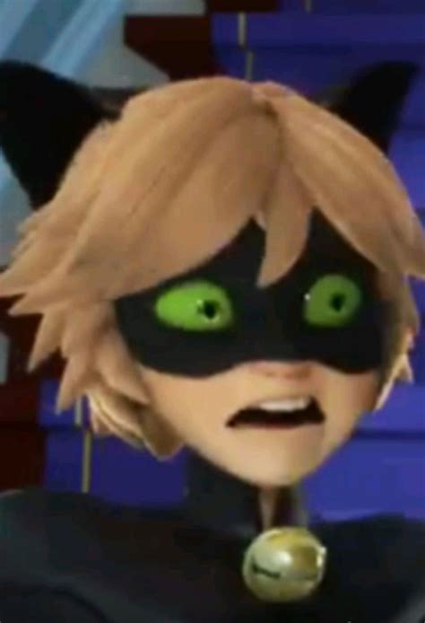 Pin By Jessica On Miraculous Miraculous Ladybug Memes Miraculous